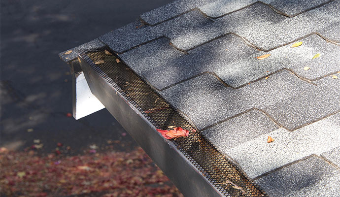 Leaf Relief® Gutter Guards in Boise & Caldwell, ID | Hunter